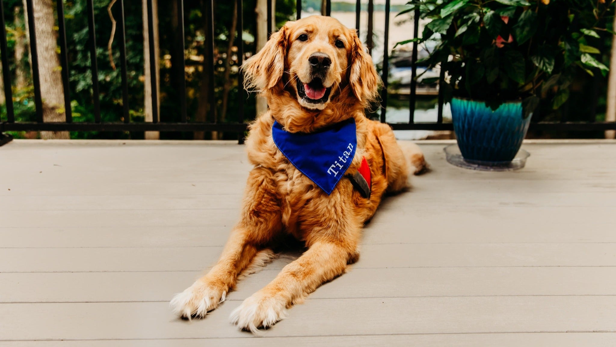 Live Like Roo – LiveLikeRoo